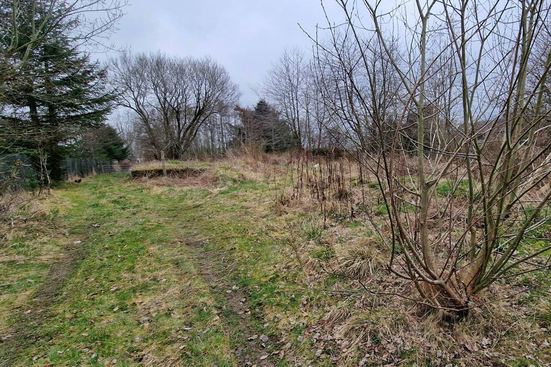 Plot of Land Gartly Station, Old Military Road,… | McEwan Fraser Legal