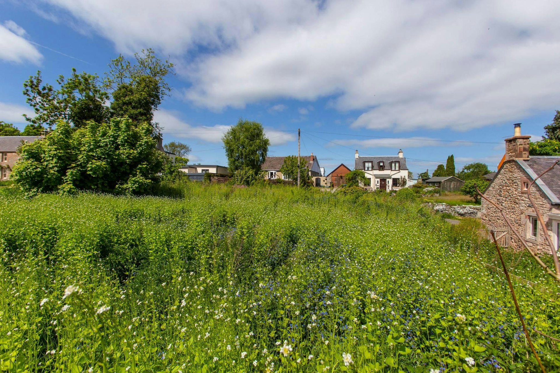 Plot of land South East of Garthrig, Lanton,… | McEwan Fraser Legal